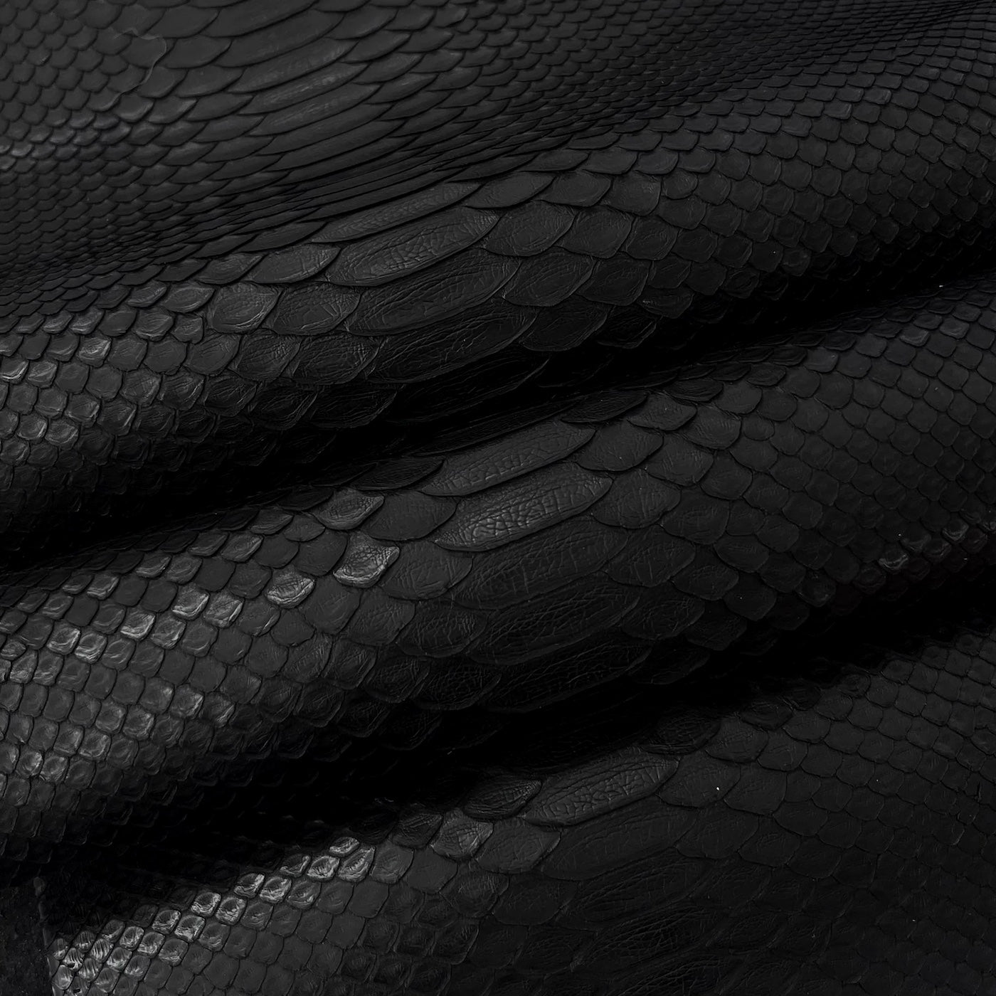 Limited to 25 Pieces - Authentic Python Iphone Case | Golden Concept ...